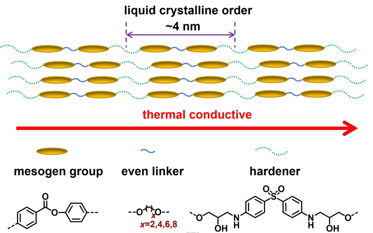 Uncovering the link between epoxy resins and thermal conductivity ...